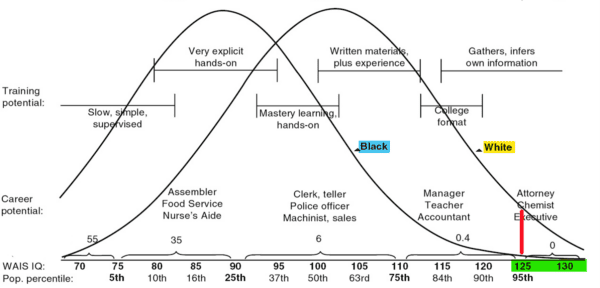 Bell Curves and Constructivism – Philosophics