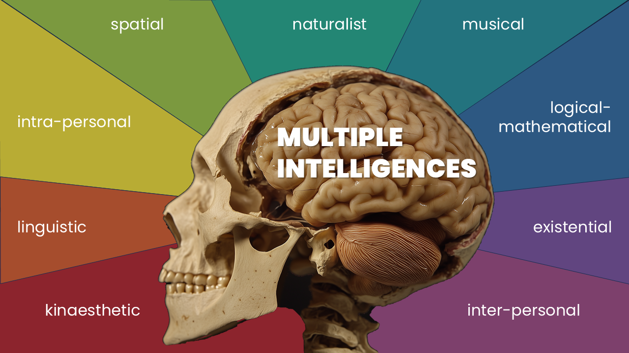 multiple intelligences – Philosophics