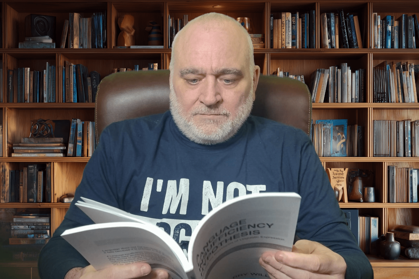 A History of language Insufficiency – Philosophics